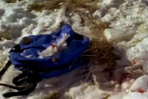 The Murder of Bobbie Oberholzer & Annette Schnee - Unsolved Mysteries