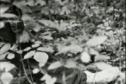 The Mysterious Death of Keith Warren - Unsolved Mysteries